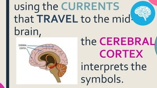 Reading as a Physiological Process | PPTX