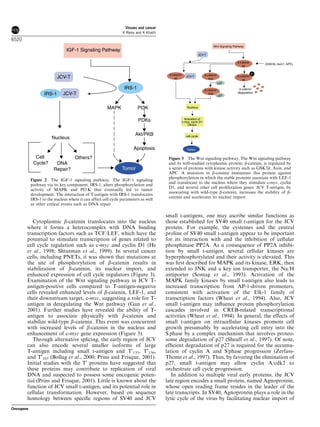 Reading assignment s144 | PDF