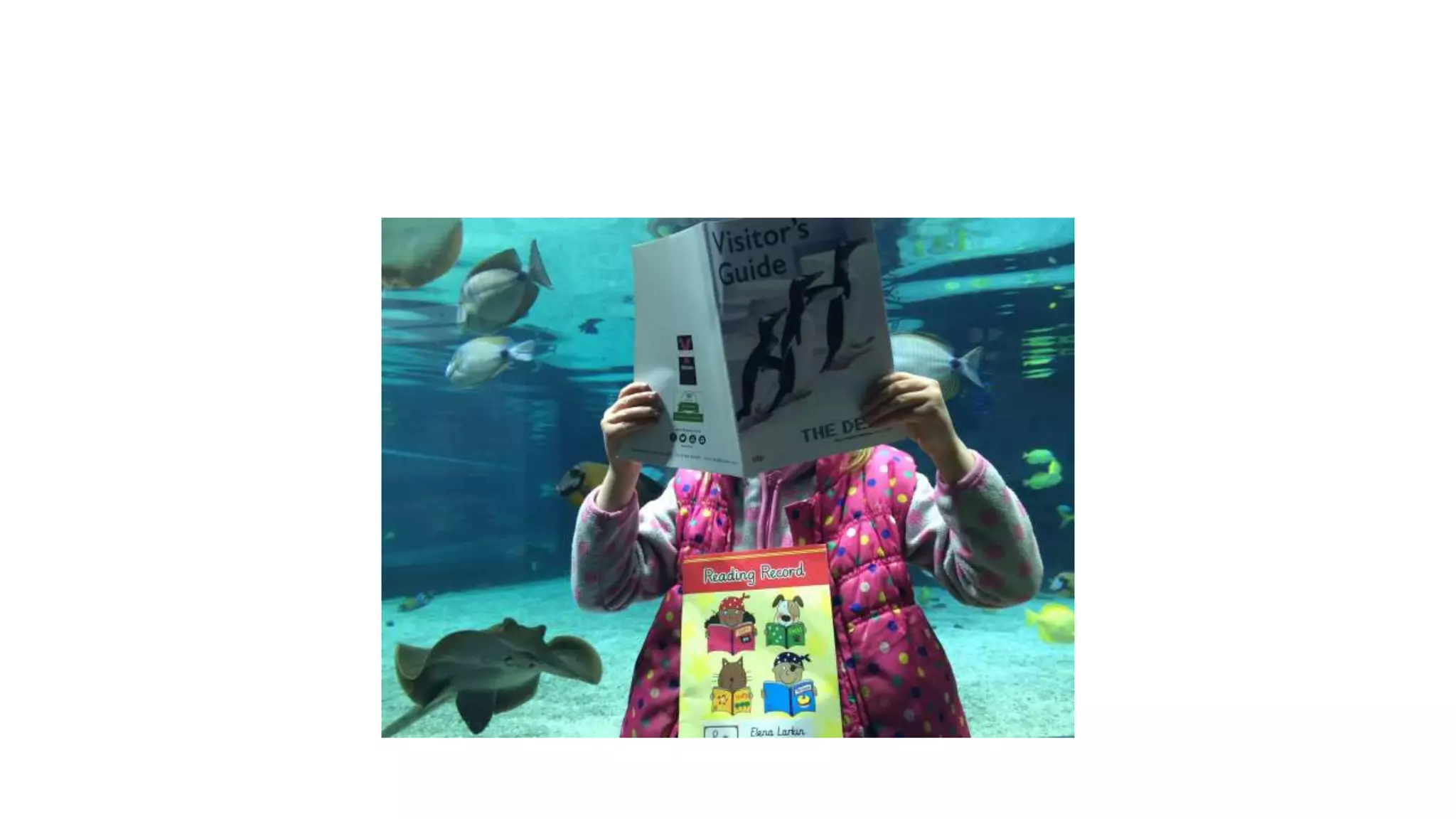 Reading competition 2 | PPTX