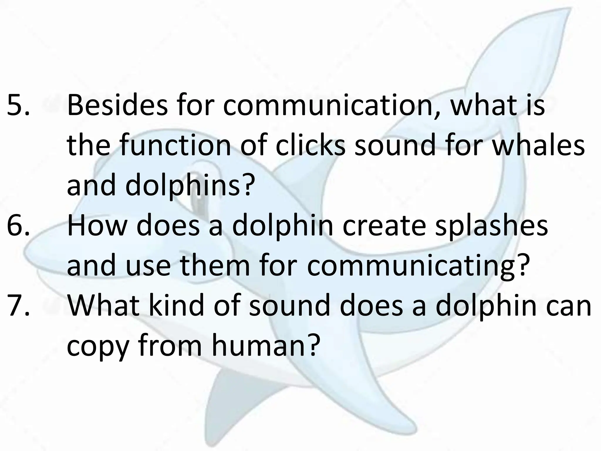 reading comprehension dolphin and whale.pptx