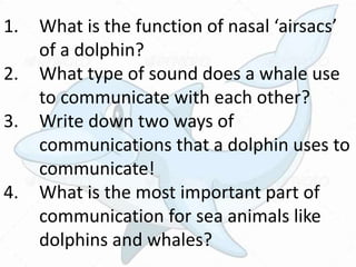 reading comprehension dolphin and whale.pptx