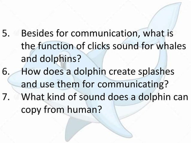 reading comprehension dolphin and whale.pptx