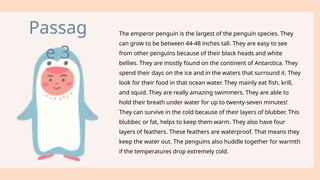Reading Comprehension Education Presentation.pptx