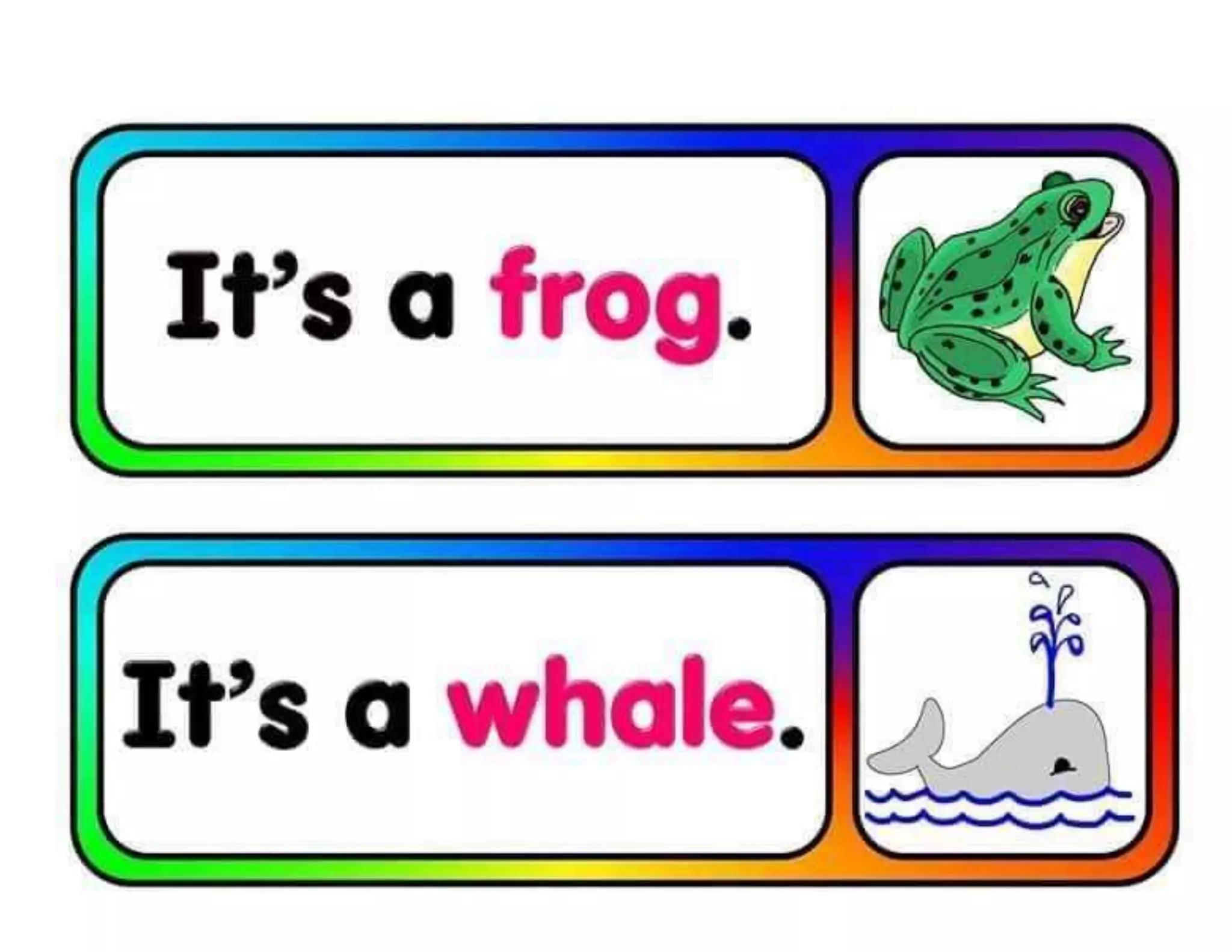 Reading Flash Cards | DOCX