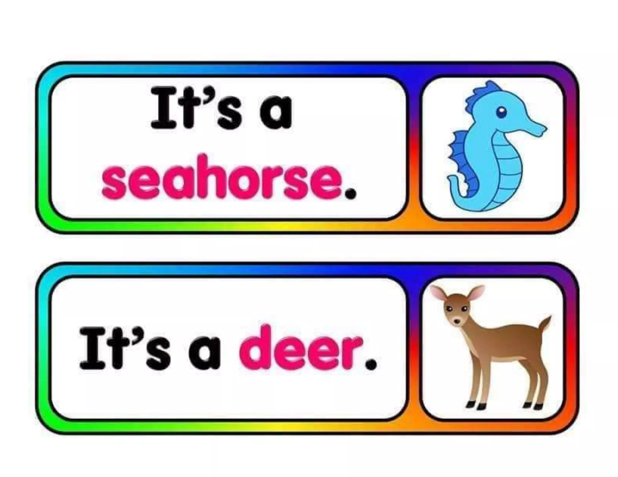 Reading Flash Cards | DOCX