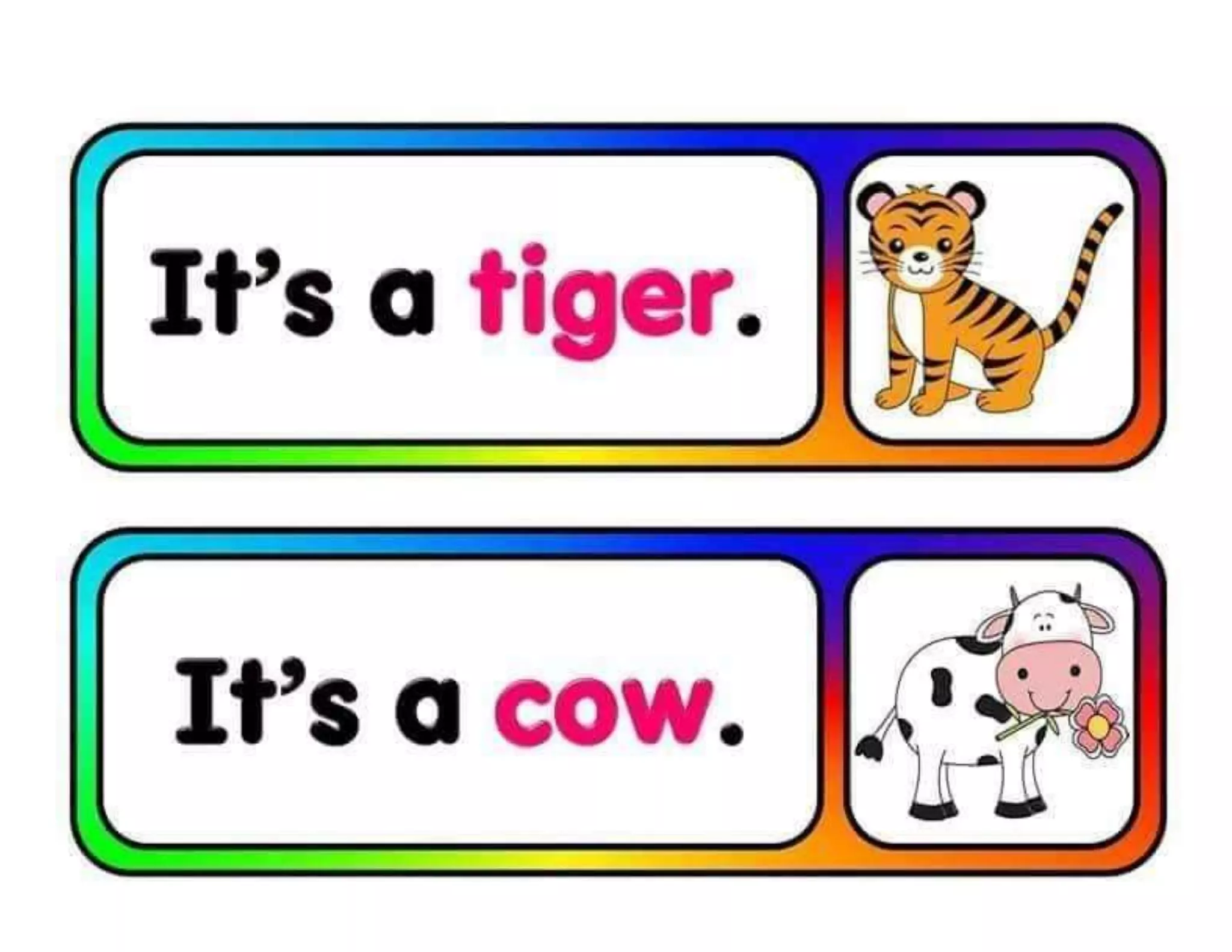 Reading Flash Cards | DOCX