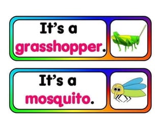 Reading Flash Cards | DOCX