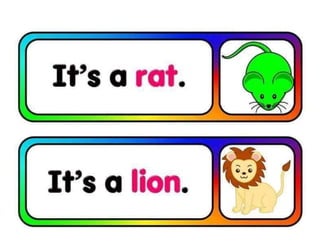 Reading Flash Cards | DOCX