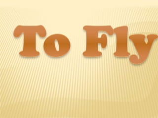 Reading pictionary To Fly | PPTX