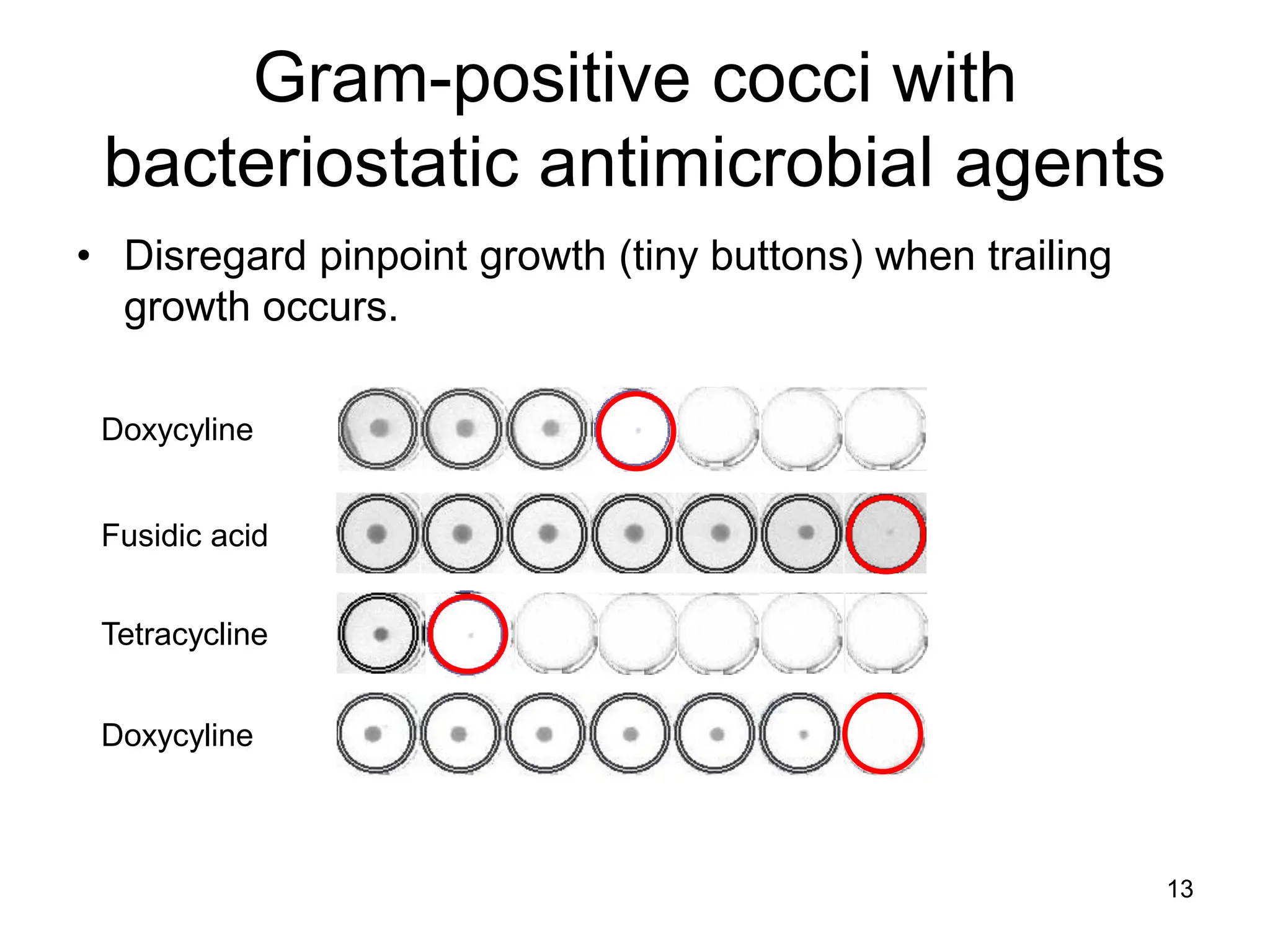 Reading_guide_BMD_v_5.0_2024_EUCAST MIC interpretation | PDF