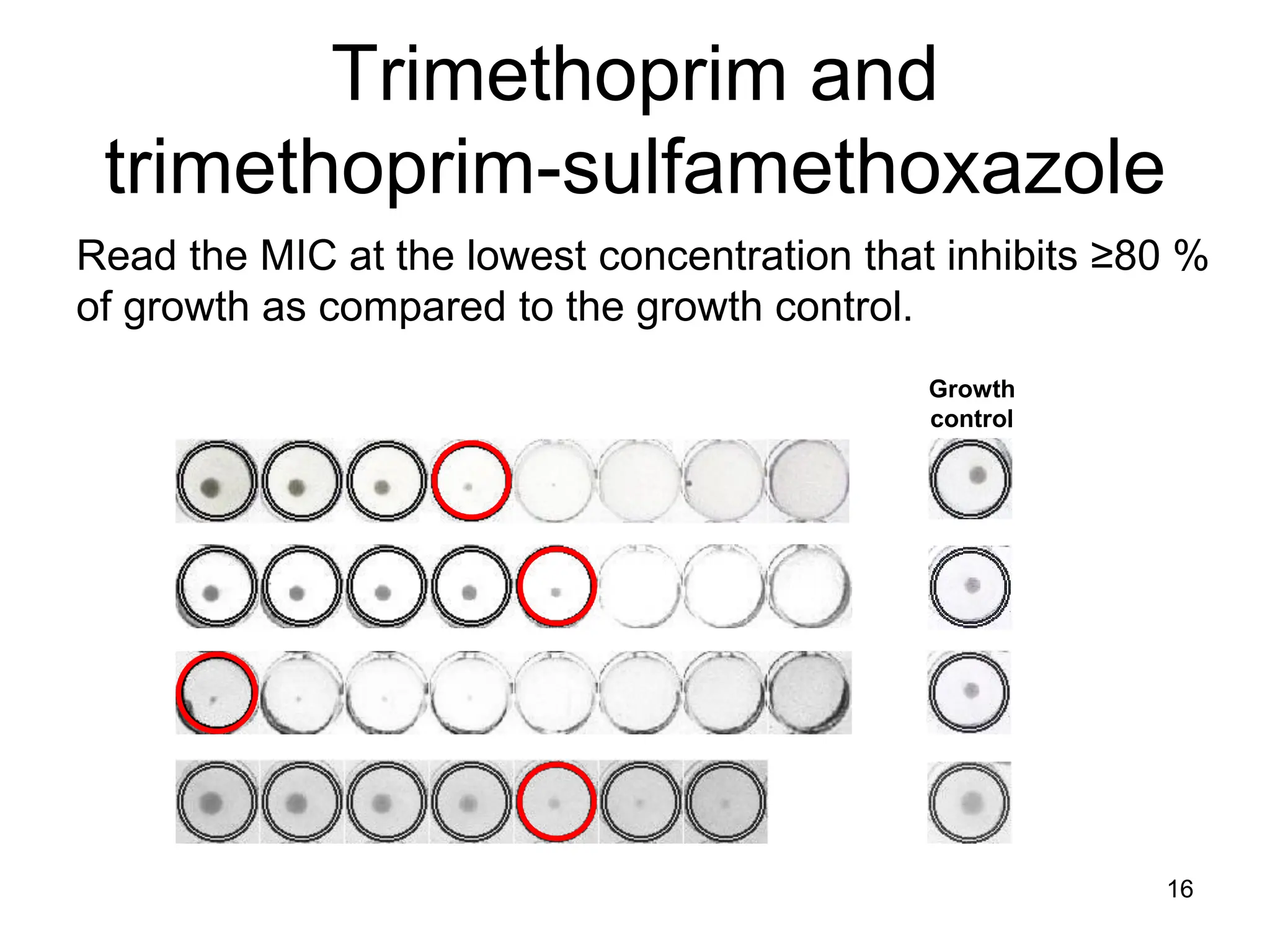 Reading_guide_BMD_v_5.0_2024_EUCAST MIC interpretation | PDF