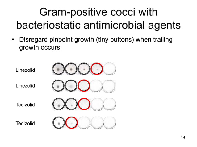 Reading_guide_BMD_v_5.0_2024_EUCAST MIC interpretation | PDF