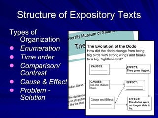 Reading Is An Interactive Process | PPT