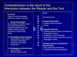 Reading Is An Interactive Process | PPT