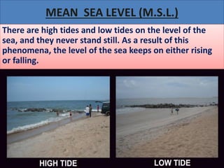 Reading maps of different kinds | PDF