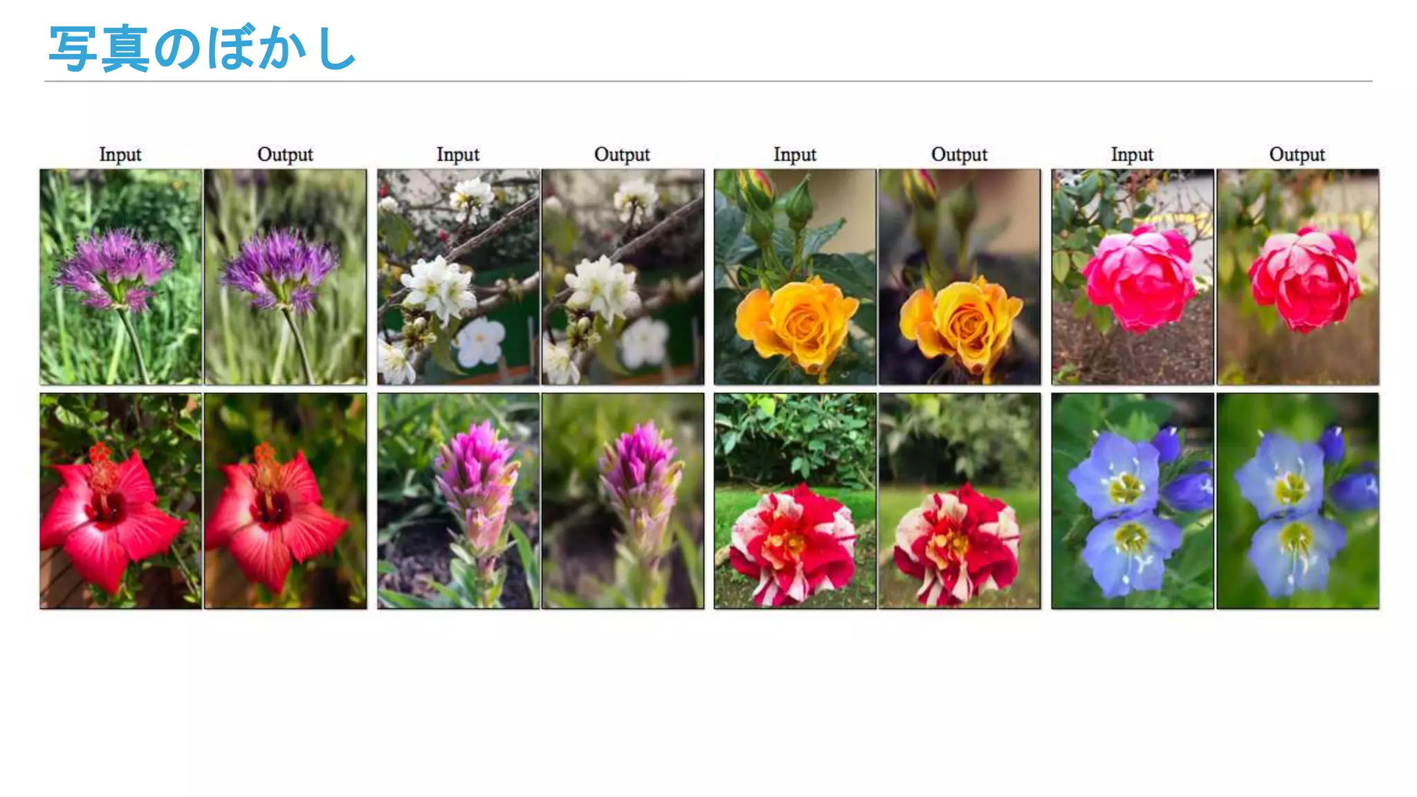 [DL輪読会]Unpaired Image-to-Image Translation using Cycle-Consistent Adversarial Networks | PPT