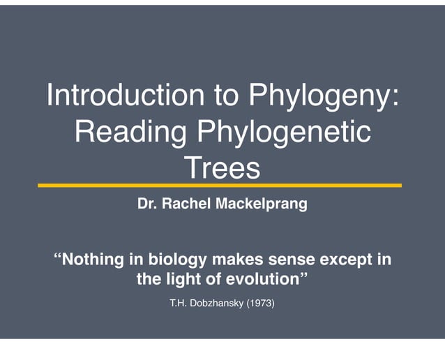 Microbial Diversity Part 2: Reading Phylogenetic Trees | PPT