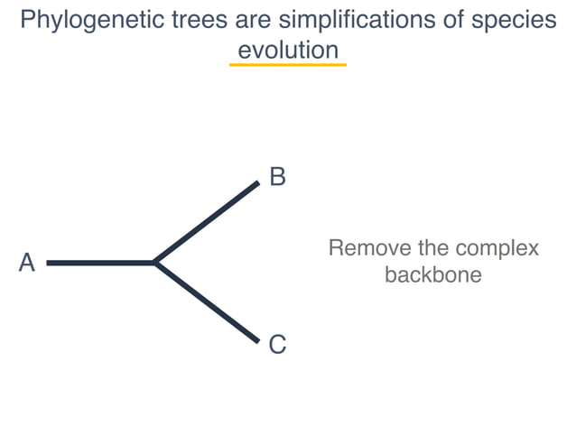 Microbial Diversity Part 2: Reading Phylogenetic Trees | PPT