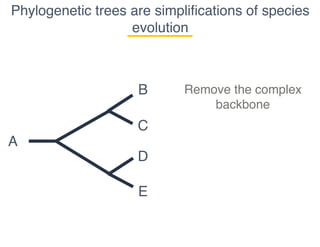 Microbial Diversity Part 2: Reading Phylogenetic Trees | PPT