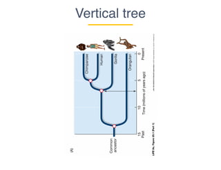 Microbial Diversity Part 2: Reading Phylogenetic Trees | PPT