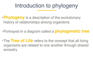 Microbial Diversity Part 2: Reading Phylogenetic Trees | PDF