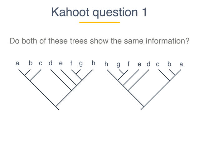 Microbial Diversity Part 2: Reading Phylogenetic Trees | PPT