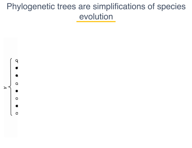 Microbial Diversity Part 2: Reading Phylogenetic Trees | PPT