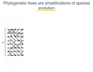 Microbial Diversity Part 2: Reading Phylogenetic Trees | PDF