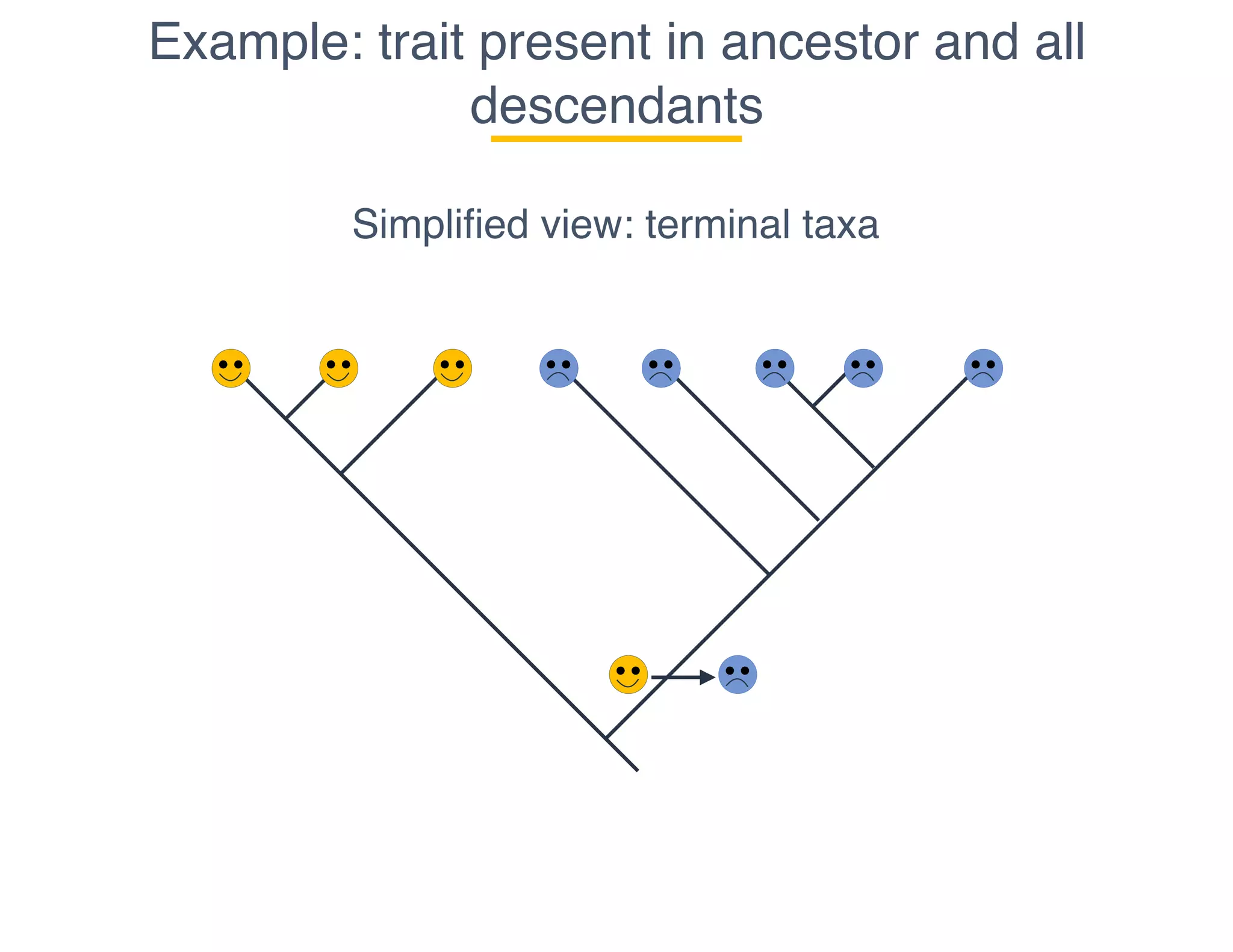 Microbial Diversity Part 3: Reading Phylogenetic Trees | PDF