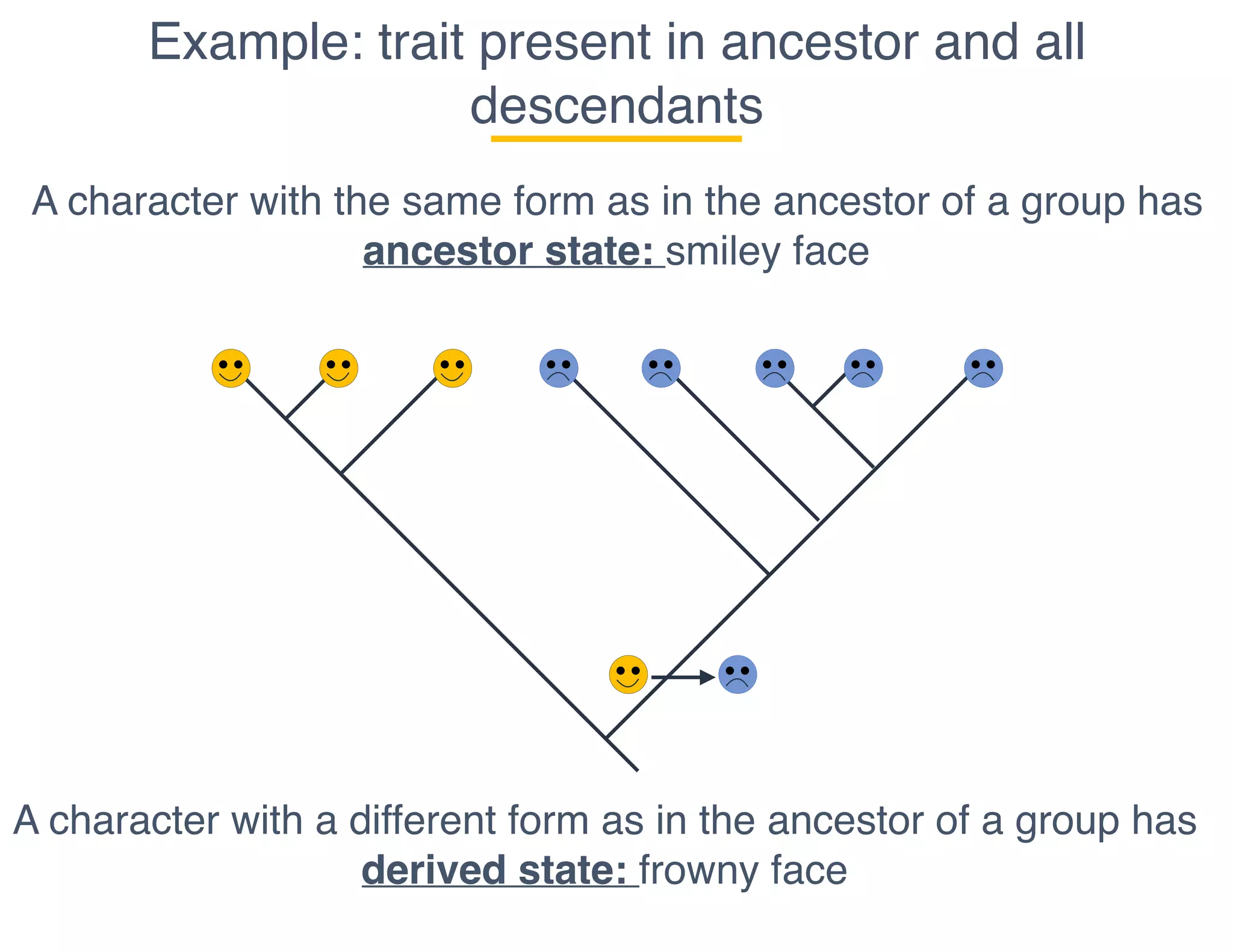 Microbial Diversity Part 3: Reading Phylogenetic Trees | PDF