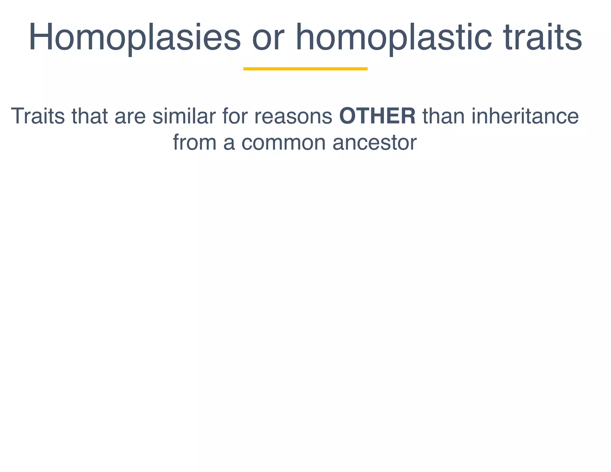 Microbial Diversity Part 3: Reading Phylogenetic Trees | PDF