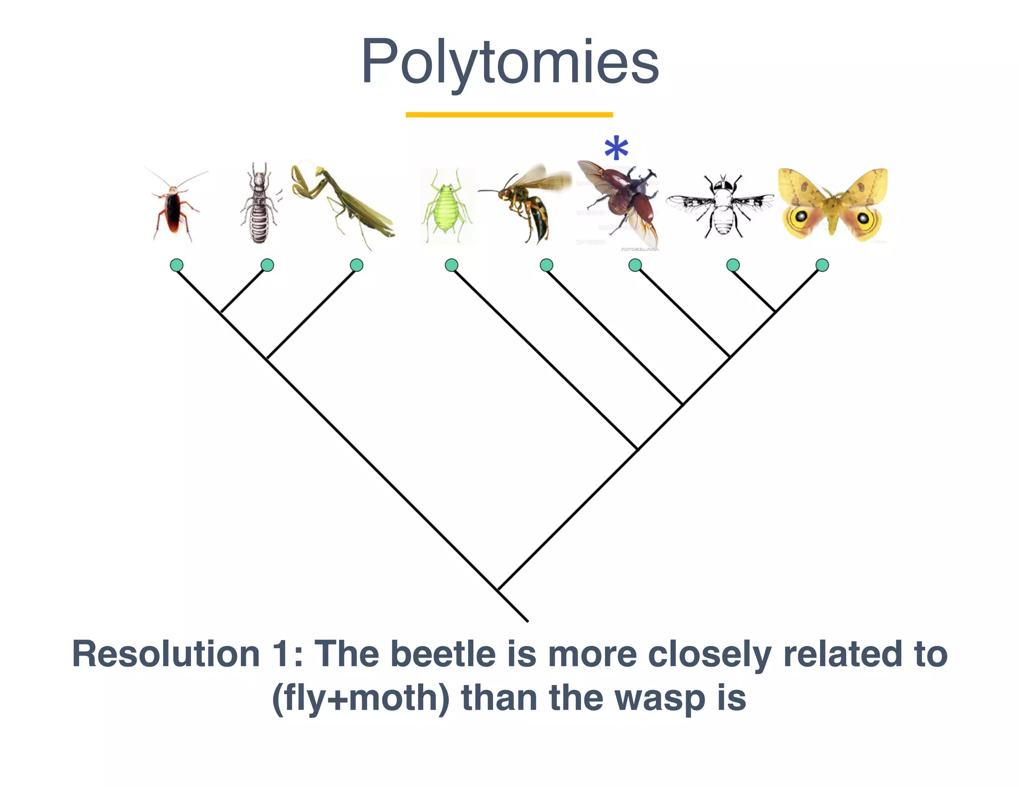 Microbial Diversity Part 3: Reading Phylogenetic Trees | PDF