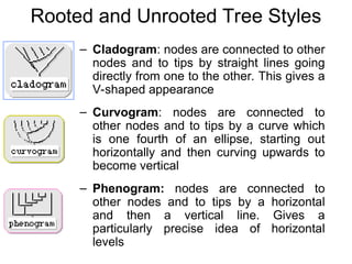 Phylogenetic tree analysis-Rooted and unrooted | PPT