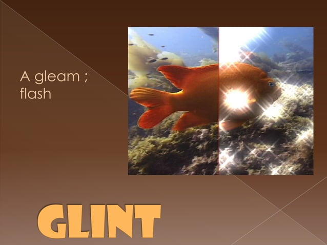 Reading pictionary Tia Lola | PPT