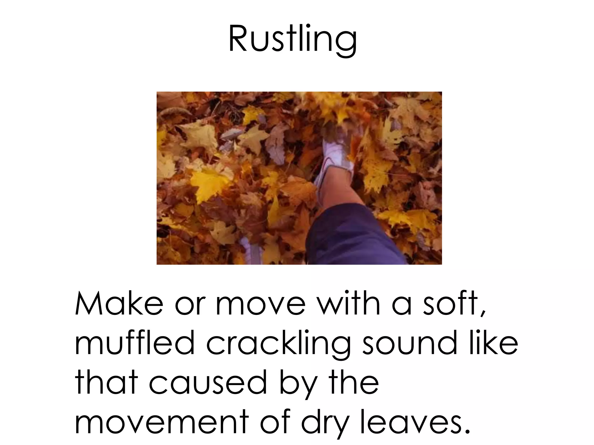 Reading pictionary WESLANDIA | PPTX