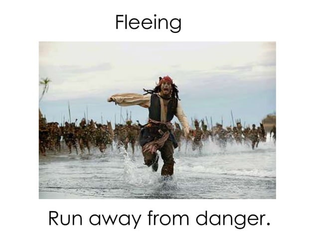 Reading pictionary WESLANDIA | PPTX