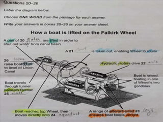 reading process chart week c11 t1.pptx