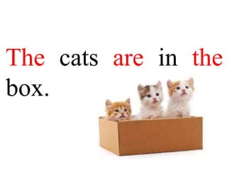 Reading sentences Nursery | PPTX