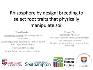 Rhizosphere by Design | PPTX