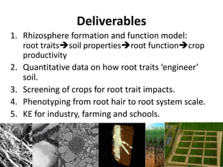 Rhizosphere by Design | PPTX