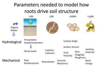 Rhizosphere by Design | PPTX