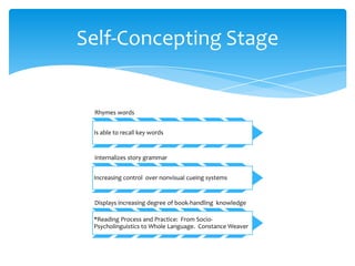 Reading stages | PPT