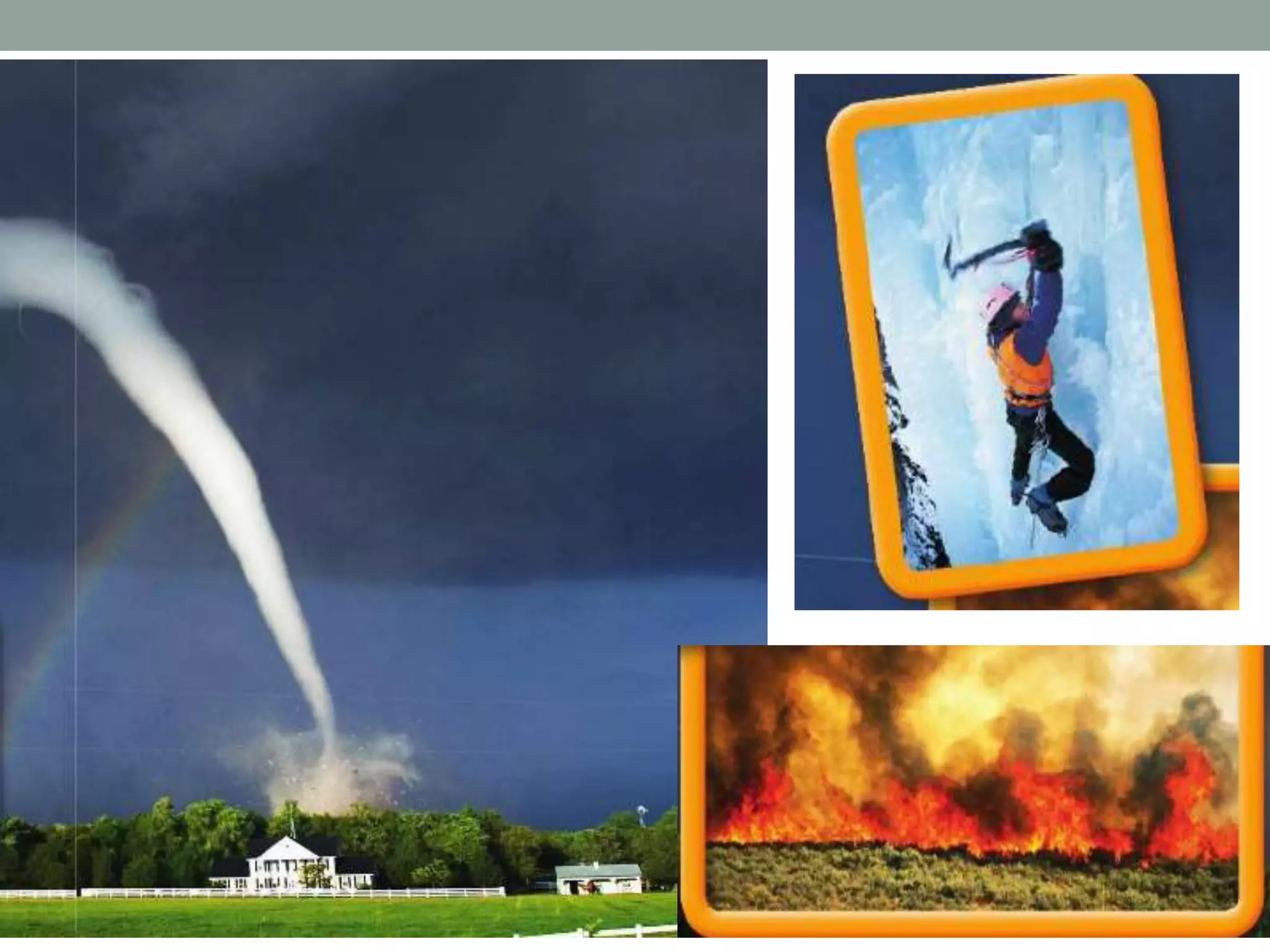 Reading Street | PPTX