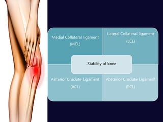 READING TEXTBOOK PHISICAL EXAMINATION OF KNEE.pptx