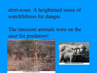 Reading unit 2 week 2 | PPT