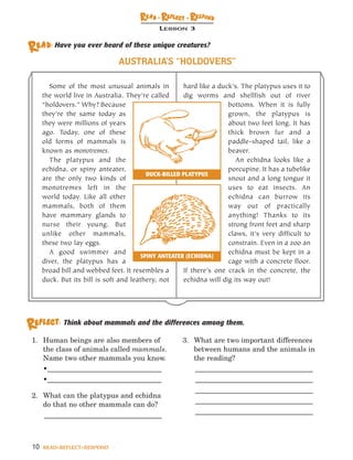 Read reflect respond_book_c_sample | PDF