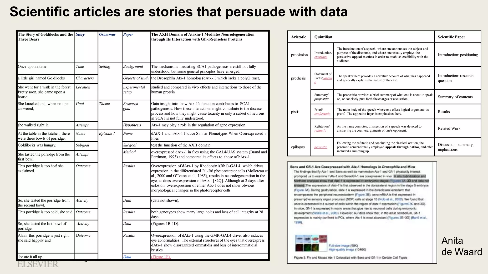 Are we finally ready for transclusion?* | PPT