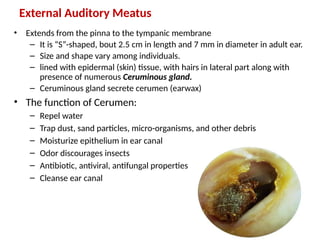 Anatomy & Physiology of EAR and Physiology of Hearing | PPTX