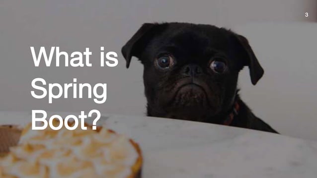 Ready! Steady! SpringBoot! | PPTX