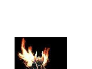 Reagan Lee Mills | PPT